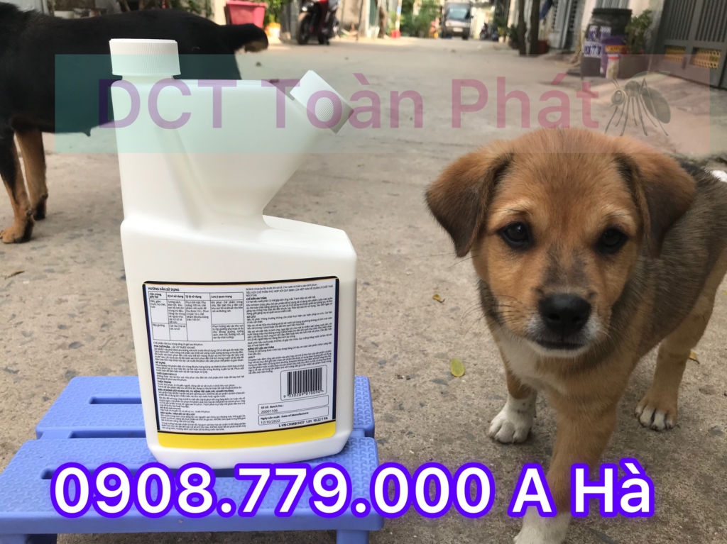 Thuốc diệt côn trùng BITHOR DUAL ACTION INSECTICIDE